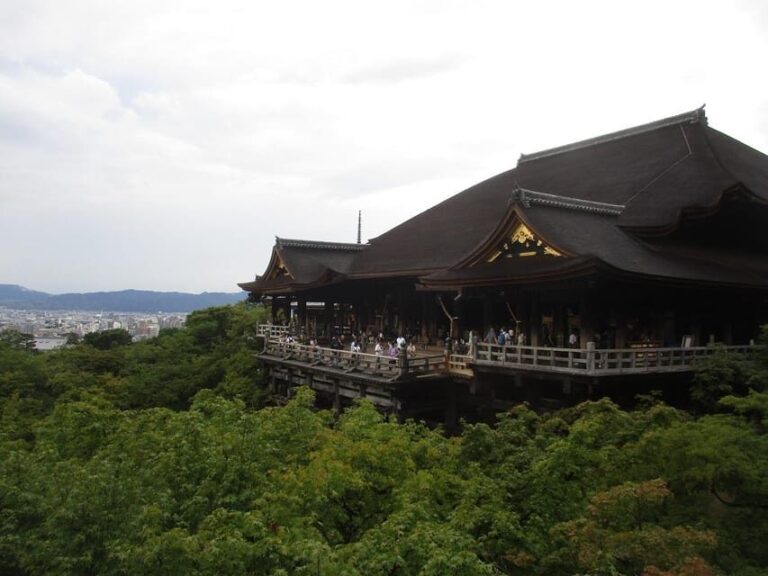 KYOTO Pagoda d'oro, Bambù Kiyomizu "Geisya" (Guida italiana) - What You Can Expect from the Tour