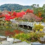 Kyoto: Private 2.5 Hour Historical Walking Tour - What to Expect