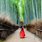Kyoto: Private Customizable Day Tour with Guide and Vehicle - Frequently Asked Questions