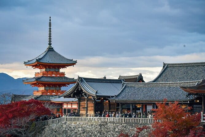 Kyoto Private Customizable Day Tour with Guide and Vehicle - Detailed Breakdown of the Itinerary