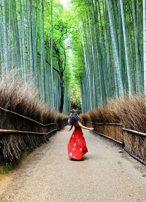 Kyoto: Private Customizable Day Tour with Guide and Vehicle - Frequently Asked Questions