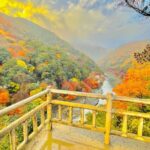 Kyoto: Private Customizable Guided tour with Luxury Vehicle - Transport and Logistics