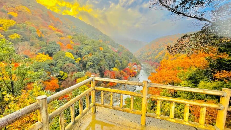 Kyoto: Private Customizable Guided tour with Luxury Vehicle - Transport and Logistics
