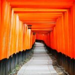 Kyoto: Private Full-Day Tour by Car - Detailed Breakdown of the Itinerary