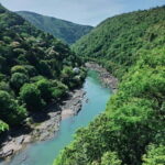 Kyoto: Private Guided Tour with a Local Guide - What You Can Expect During the Tour