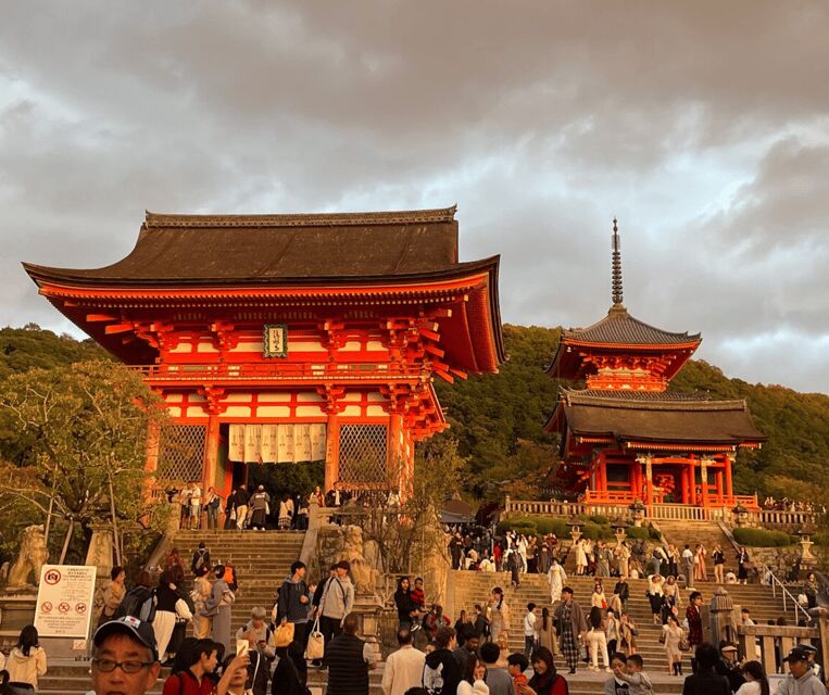 Kyoto: Private Highlights Tour with Guide and Luxury Vehicle - What Makes This Tour Stand Out?