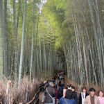 Kyoto: Private tour, Arashiyama, Bamboo Forests and Sacred Temples - What’s Included and What’s Not