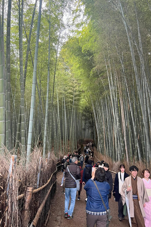 Kyoto: Private tour, Arashiyama, Bamboo Forests and Sacred Temples - What’s Included and What’s Not