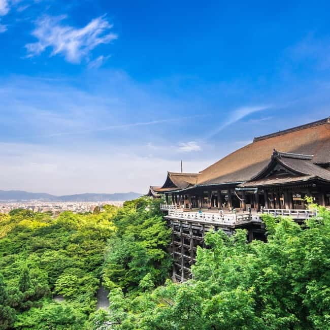 Kyoto: Private Tour with Licensed Guide & Vehicle - Practical Tips for Your Tour