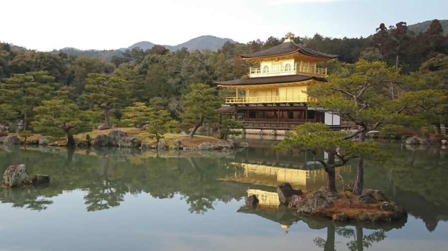 Kyoto: Private Walking Tour with a Local - What’s Included and What to Expect