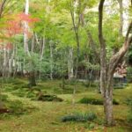 Kyoto: Quiet Arashiyama and Sagano Temples Guided Tour - Authentic Experiences and Tour Highlights