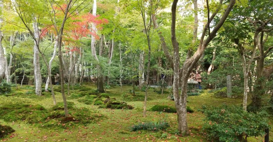 Kyoto: Quiet Arashiyama and Sagano Temples Guided Tour - Authentic Experiences and Tour Highlights