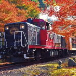 Kyoto Sagano Romantic Train in Arashiyama Bus Tour - FAQ