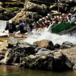 Kyoto Sagano Romantic Train in Arashiyama Bus Tour - The Experience: What You Can Expect from Beginning to End