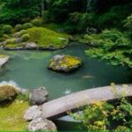 KYOTO: Sophisticated Harmony Journey: 4 Calming Scenes - Authenticity and Value