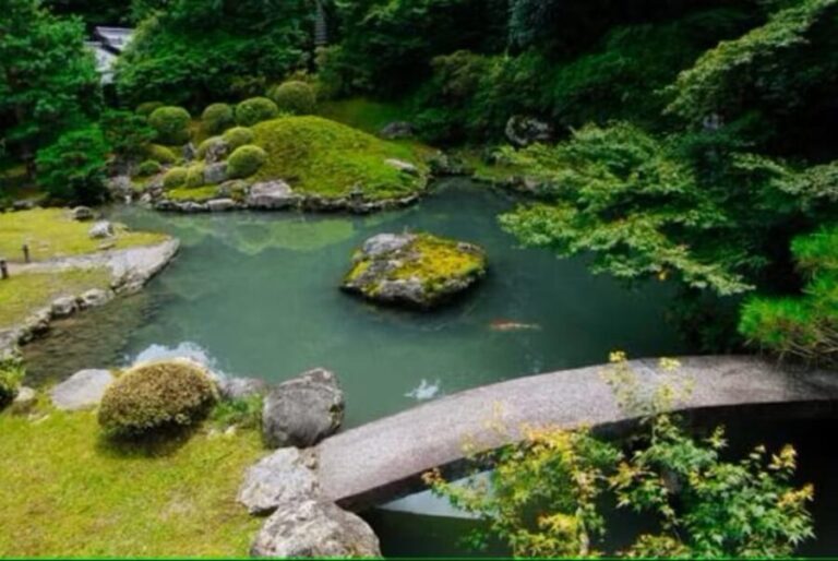 KYOTO: Sophisticated Harmony Journey: 4 Calming Scenes - Authenticity and Value