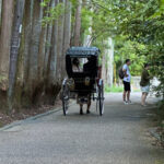 Kyoto: Stroll around the Depths of Arashiyama - Exploring Arashiyama in Depth