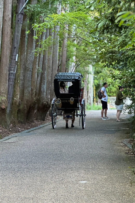 Kyoto: Stroll around the Depths of Arashiyama - Exploring Arashiyama in Depth