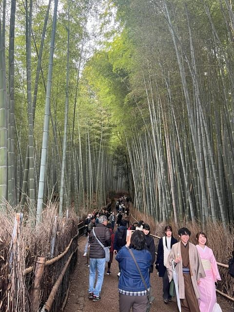 Kyoto: The Heart of Arashiyama, Bamboo Forests and Sacred Temples - Who Will Love This Tour?