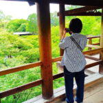 Kyoto: Tofuku-ji Temple and Komyo-in Guided Walking Tour - What’s Included and What to Expect