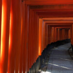 Kyoto: Top Sights Guided Tour - Gion, Kinkaku, Fushimi, Nijo - Who Should Consider This Tour?