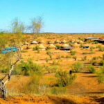 Kyzylkum Desert tour from Samarkand (1Night 2 Days) - The Realistic Expectations: Our Summary