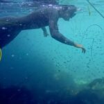 La Jolla Snorkel with the Leopard Sharks - What to Expect on the Water
