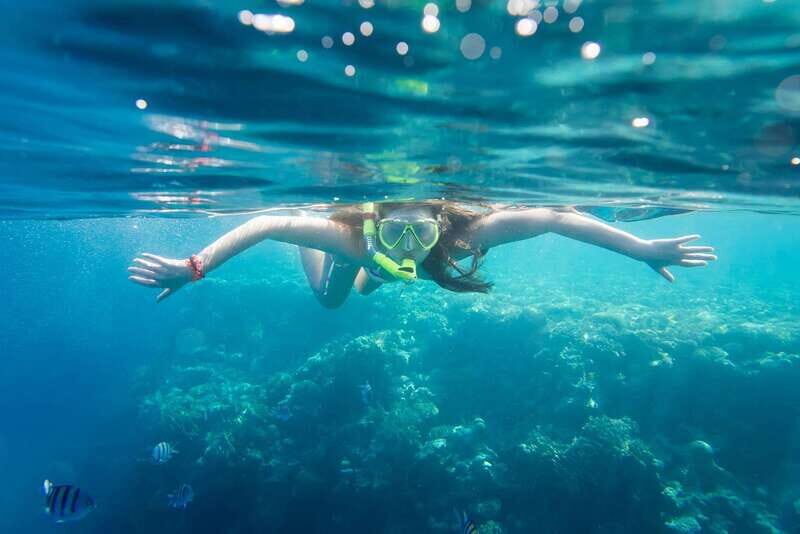 La Paz: Coral Farm Snorkel Tour - Who Should Consider This Tour?