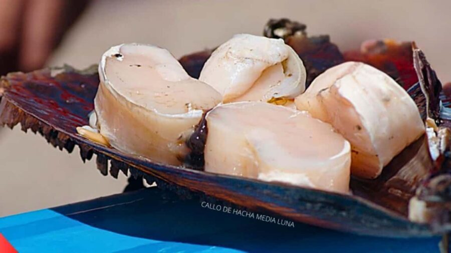 La Paz: Mangrove Adventure, Snorkeling and Shellfish Tasting - The Overall Experience: What Works Well