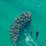 La Paz or La Ventana: Ocean Safari - What Makes This Tour Stand Out?