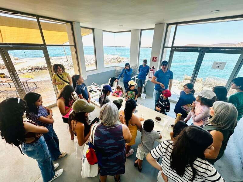 La Paz: Pearl Farm Experience and shop - Analyzing the Value