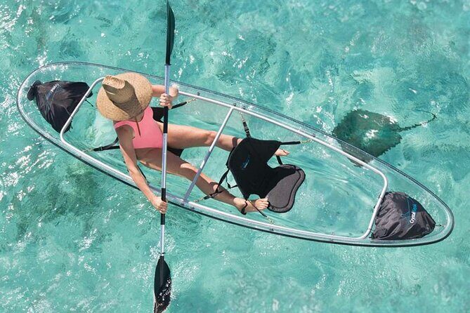 La Paz Transparent Kayaks & Paddle Boards - What the Tour Looks Like