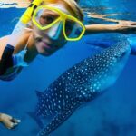La Paz Whale Shark Snorkeling Tour and Lunch From Los Cabos - Real Experiences Shared by Travelers