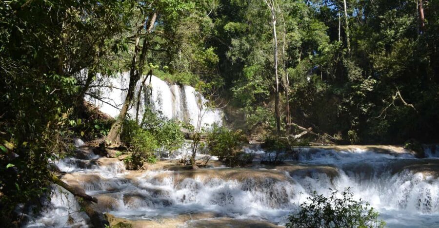 Lacandon Jungle Adventure and Bonampak Archaelogical Site - Jungle Trekking and the Lacanja Ruins