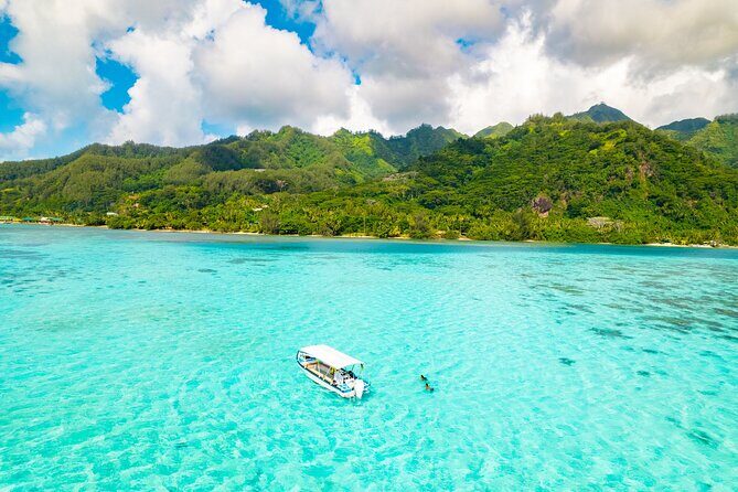 Lagoon and Marine Wildlife Tour in Moorea - Final Thoughts