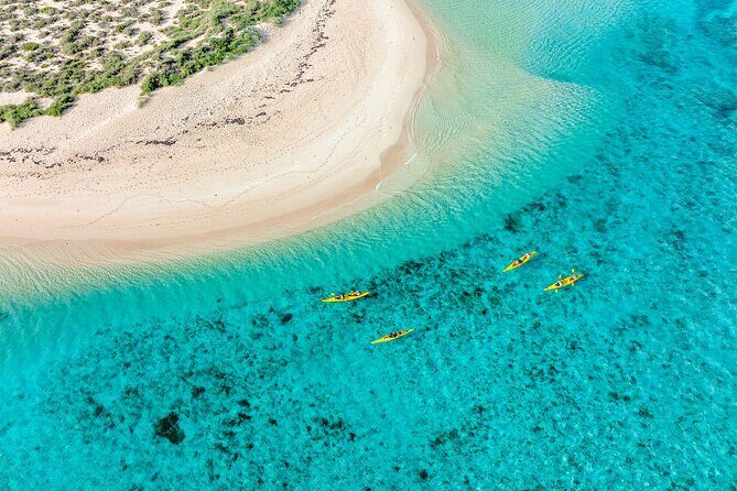 Lagoon Explorer - Ningaloo Reef Full-Day Kayaking and Snorkeling Adventure - Why This Tour Is a Great Choice