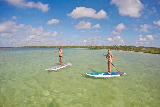 Lagoon Paddleboarding Tour in Tulum - What Travelers Say: Authentic Experiences and Honest Feedback