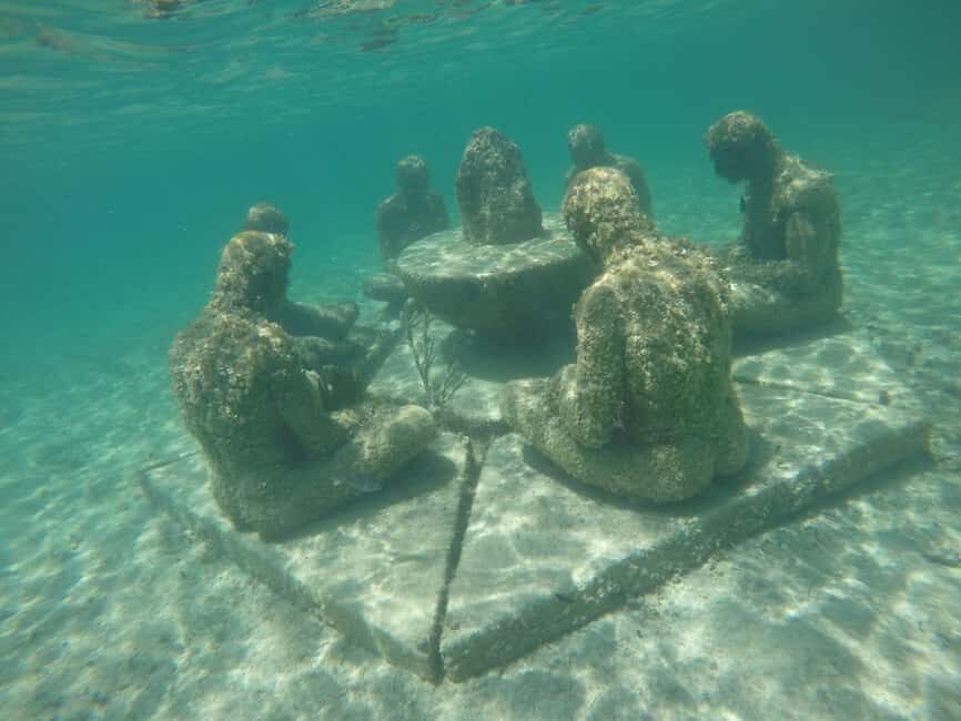 Lagoon ride and snorkeling - What’s Included and What’s Not