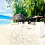 Lagoon Tour + lunch with your feet in the water on a Motu - Second Stop: Turtle Encounters