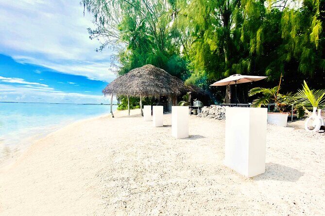 Lagoon Tour + lunch with your feet in the water on a Motu - Second Stop: Turtle Encounters