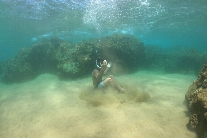 Lahaina Reef Snorkeling Adventure in Maui - What the Tour Entails—A Typical Day on the Water
