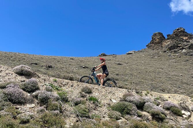 Lake Dunstan Cycleway Bike Rental And Return Shuttle - What to Expect from the Day