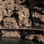 Lake Dunstan E-Bike Trail Adventure - What Travelers Say