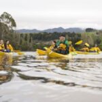 Lake Karapiro: Evening Kayak Glowworm Tour - Introduction – A Nighttime Fairy Tale on the Water
