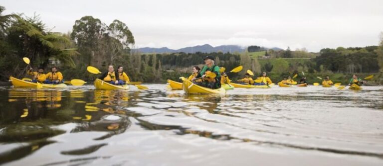 Lake Karapiro: Evening Kayak Glowworm Tour - Introduction – A Nighttime Fairy Tale on the Water