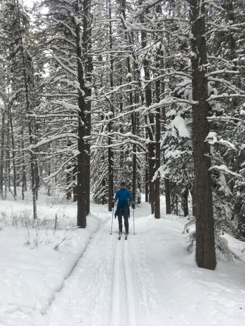 Lake Louise: Cross Country Skiing Lesson with Tour - What the Tour Looks Like in Practice
