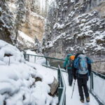 Lake Louise, Peyto Lake, Johnston Canyon & Icefields Parkway - An In-Depth Look at the Experience