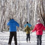 Lake Mountain Snow play and Steavenson Falls from Melburne - Analyzing the Value