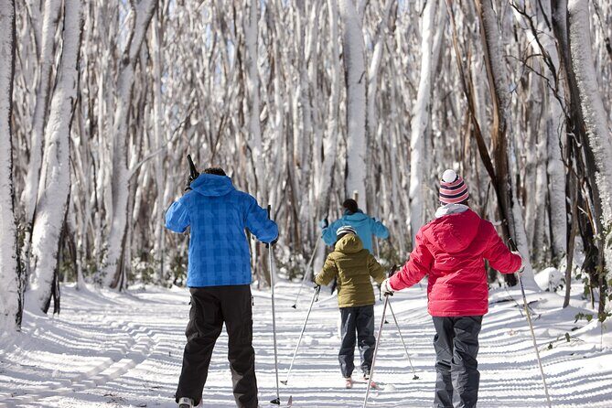Lake Mountain Snow play and Steavenson Falls from Melburne - Analyzing the Value