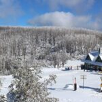 Lake Mountain Snow Private Tour from Melbourne - The Experience: A Detailed Look at the Itinerary